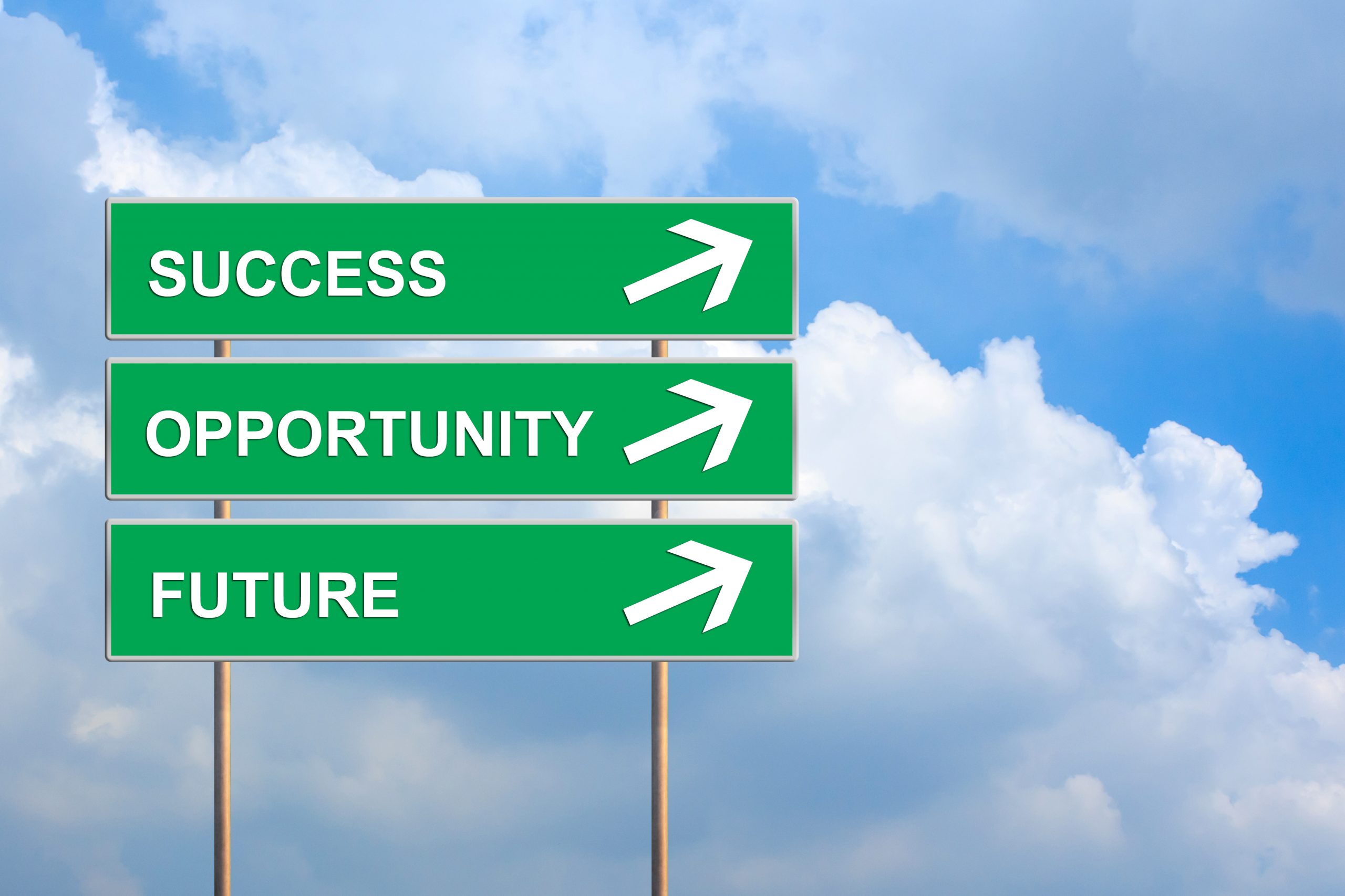 How Vehicle Route Planning Software Can Shape Your Business