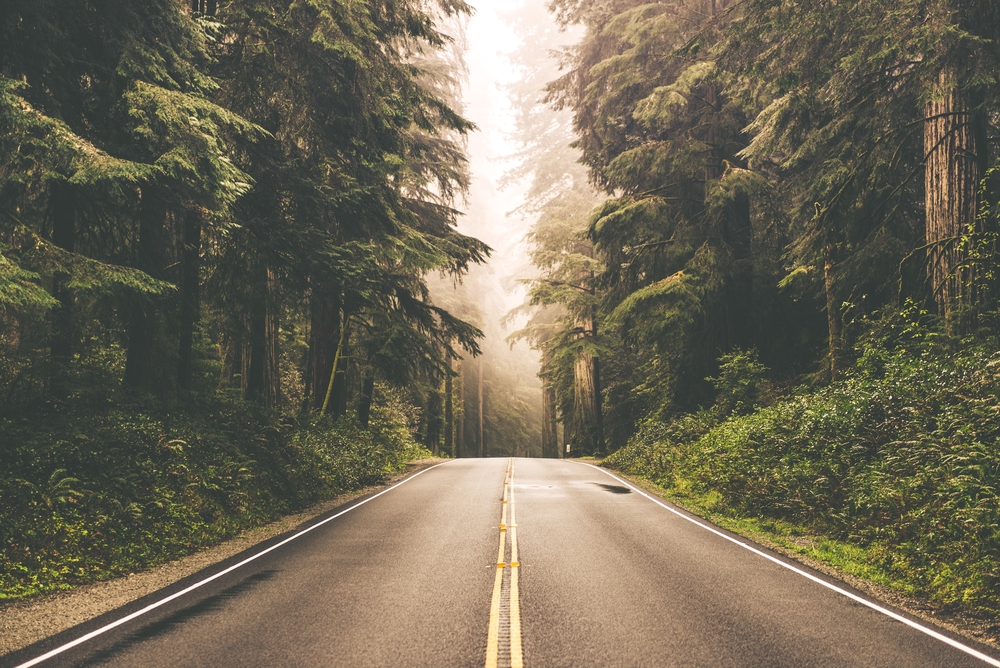 A Better Route Planner